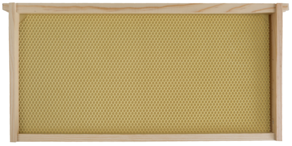 Deep Wood Frame with Plastic Foundation – ApiHex